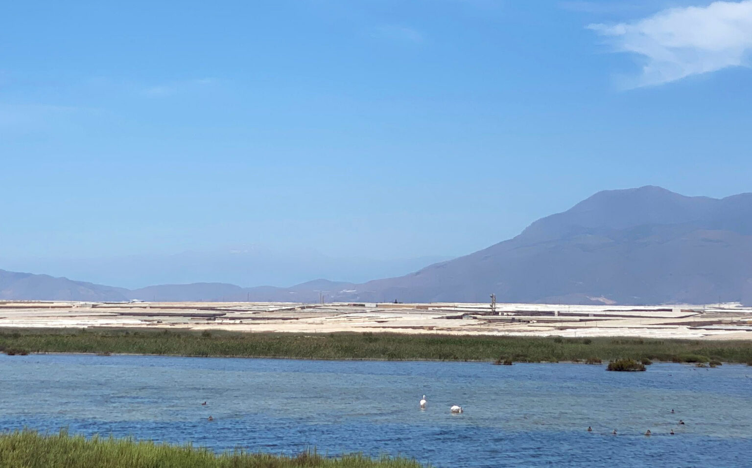Punta Entinas-Sabinar, Algo Más que un Enclave Natural - LQA Thinking ...